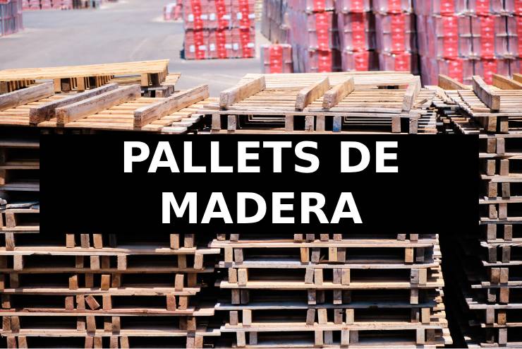 CONOCE NUESTROS PRODUCTOS – empaquesdafi.mx